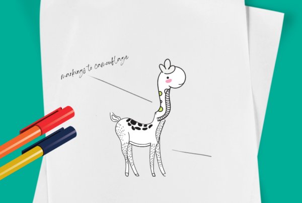 Free geography posters for WorldWise Week to download and display | Educake