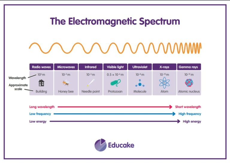Free science posters to download and display | Educake