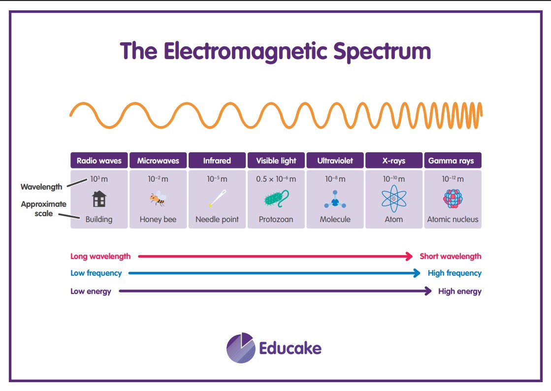 Free science posters to download and display | Educake
