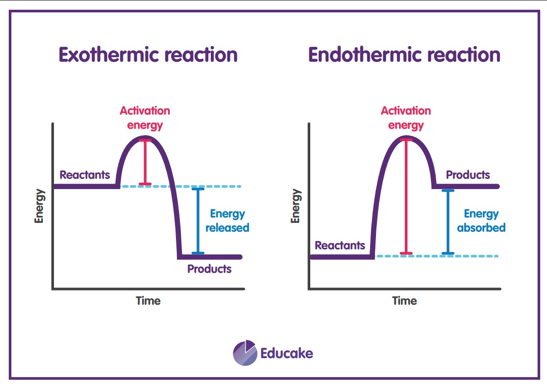 Free science posters to download and display | Educake