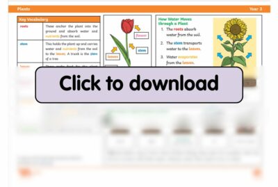 Claim your free Twinkl resource! | Educake