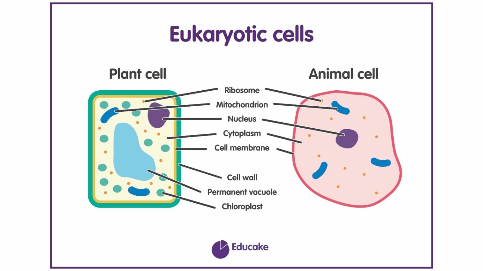Try Science Week with Educake | Educake