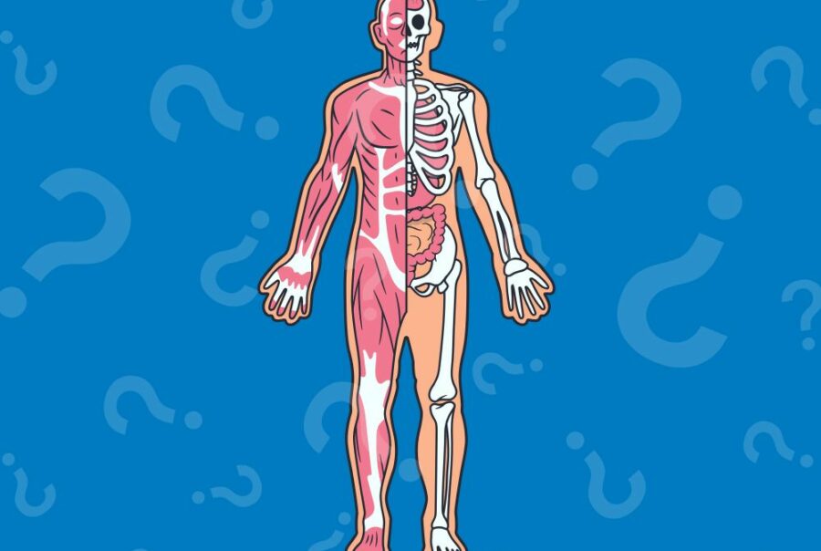 Free maths poster on angles | Educake
