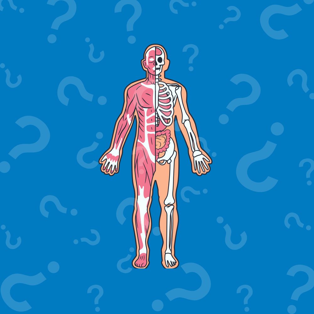 3 tricky topics in GCSE PE and how to teach them | Educake